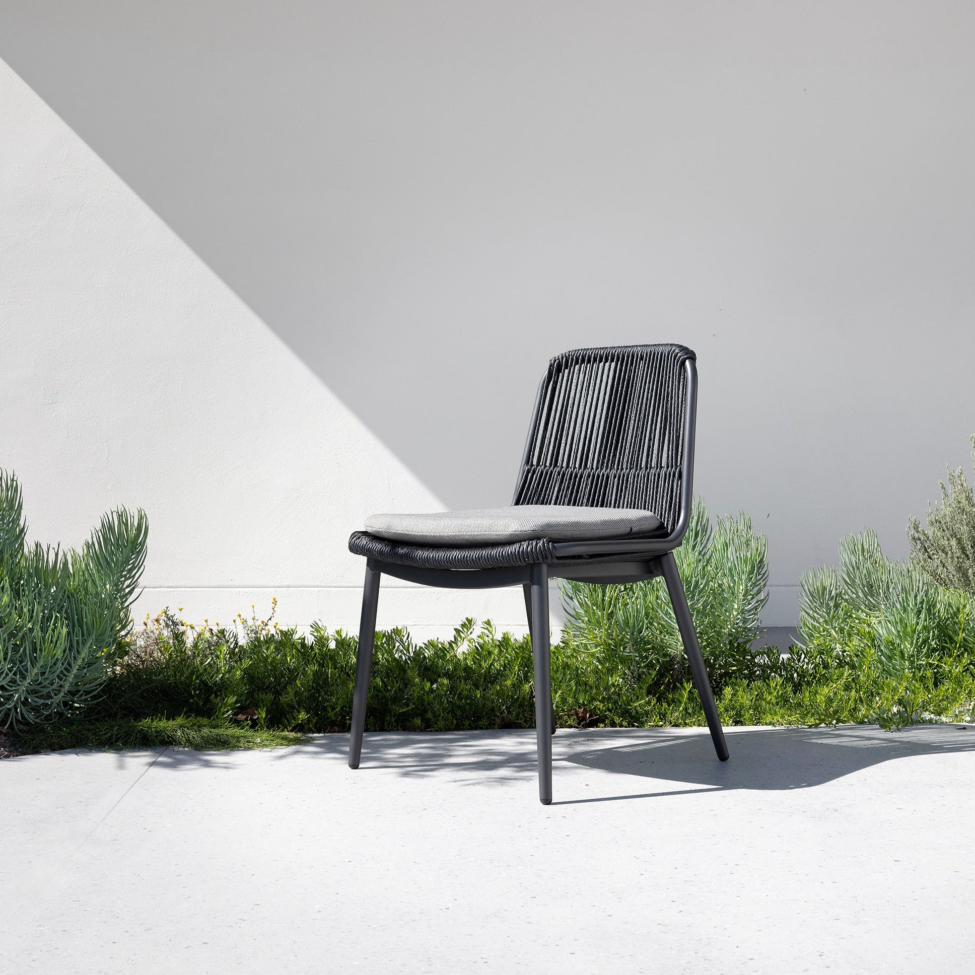 Buy ARONA DINING CHAIR - Eden Living