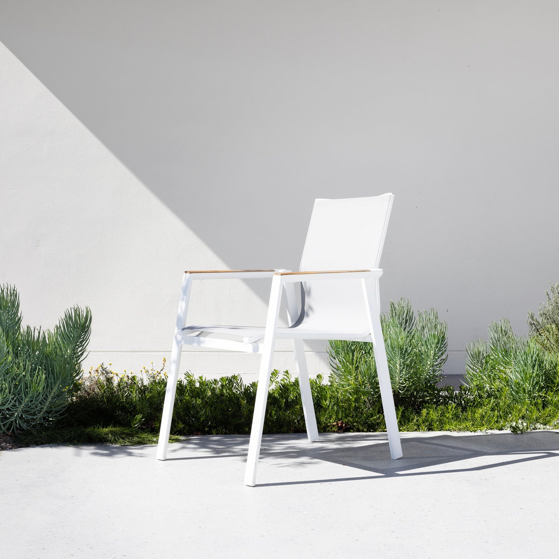 Buy Luca Dining Chair